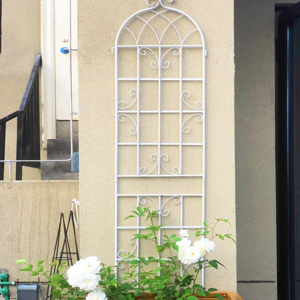 Cream White 86.70 in. 4 Pack Metal Outdoor Garden Trellis or Climbing ...
