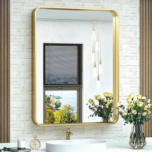 waterpar 24 in. W x 36 in. H Rectangular Aluminum Framed Wall Bathroom ...