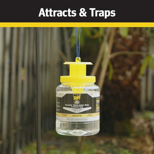 Wasp trap home depot store