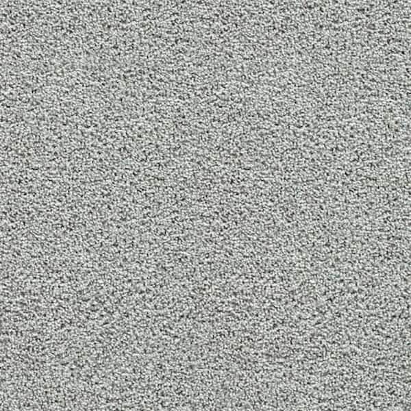 TrafficMaster 8 in. x 8 in. Texture Carpet Sample-Friendship Fables ...