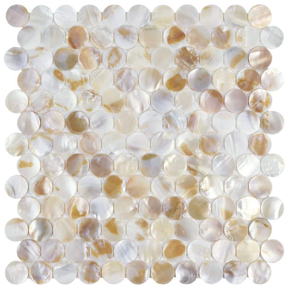 Merola Tile Conchella Penny Natural 6 in. x 6 in. Natural Shell Mosaic ...