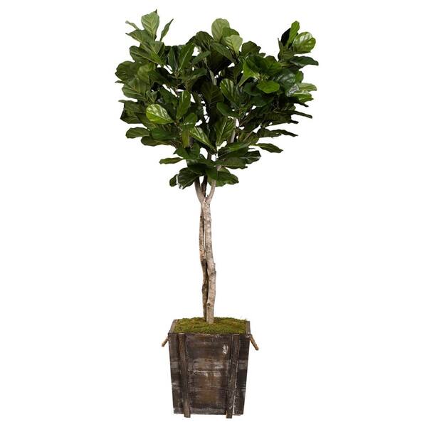 D&W Silks Indoor 7 ft. Artificial Fiddle Leaf Fig Tree in Rustic Wooden ...