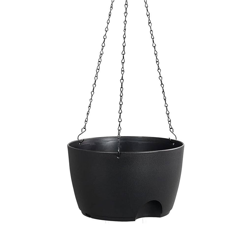 Home Depot Hanging Plants