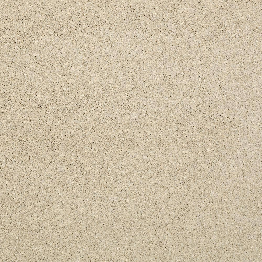 Lifeproof 8 in. x 8 in. Texture Carpet Sample - Coral Reef I - Color ...