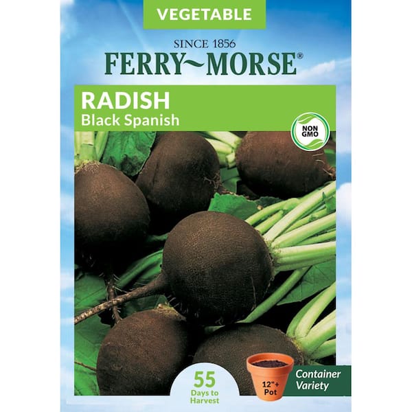 Ferry-Morse Radish Black Spanish Vegetable Seeds 2158 - The Home Depot
