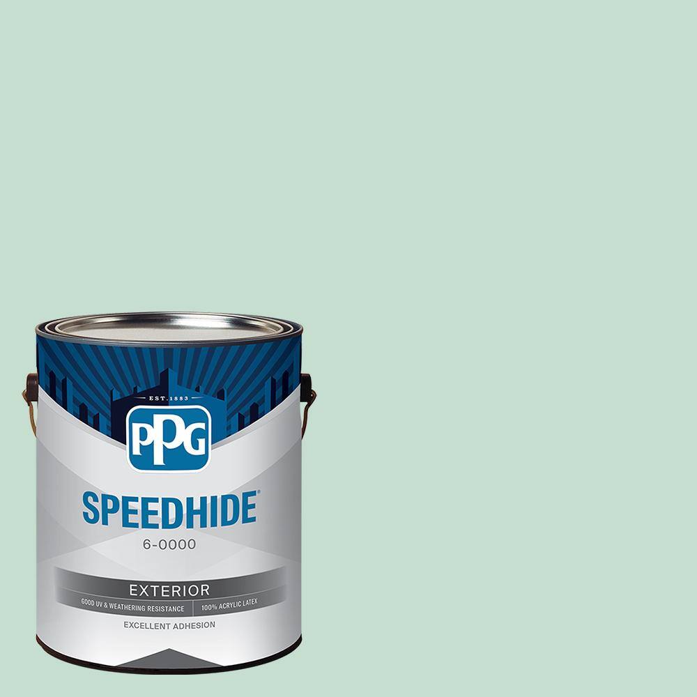 SPEEDHIDE 1 gal. PPG1132-2 Solitaire Flat Exterior Paint PPG1132-2SX ...