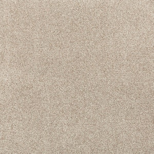 Lifeproof 8 in. x 8 in. Texture Carpet Sample - Plush Dreams I -Color Velvet MO-160011 - The ...
