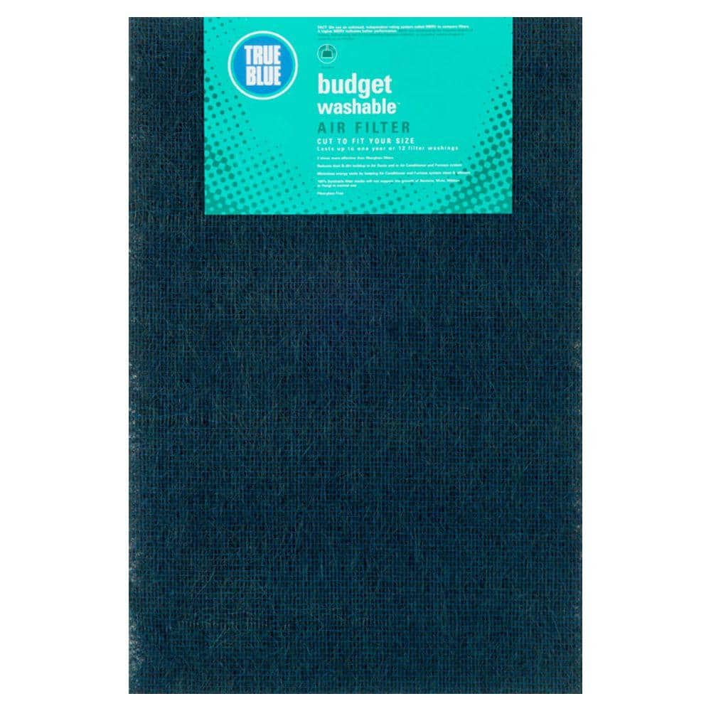 True Blue 20 x 30 x 1 Budget FPR 2 Washable Filter 0120301.1