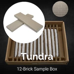 Old Mill Brick Sample Box Chestnut Thin Brick 7.625 in. x 2.25 in. x 0. ...