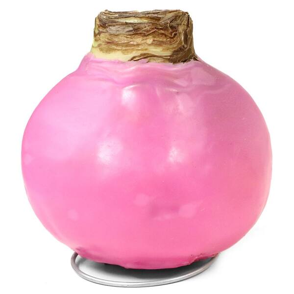 national PLANT NETWORK 5 in. Spring Pink Wax-Coated Apple Blossom ...