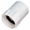 Apollo 3/4 in. Slip PVC x 3/4 in. FHT Female PVC Adapter AISLFHT34 ...