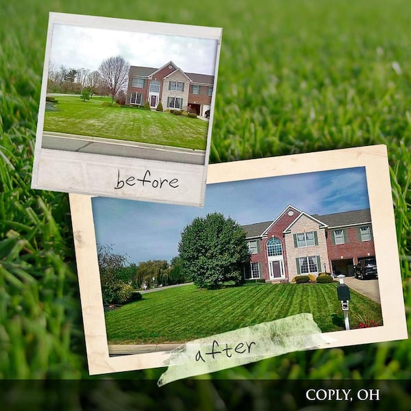 Milorganite home depot store