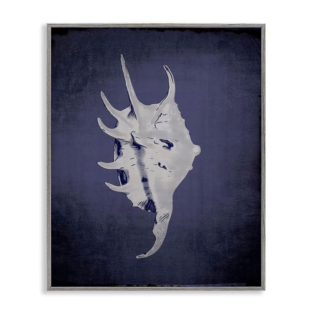 Stupell Industries Spider Conch on Indigo by Graffi*tee Studios Gray Framed Coastal Giclee Art ...