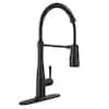 Delta Essa Single Handle Pull Down Sprayer Kitchen Faucet with Spring ...