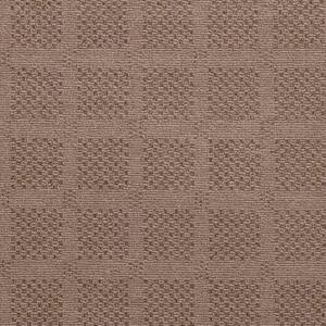 Lifeproof Carpet Sample- Desert Springs - Color Hazelnut Pattern 8 in ...