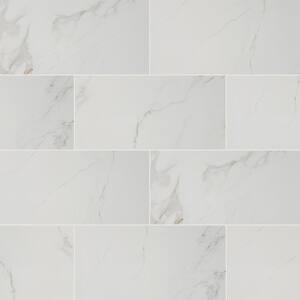 Have a question about MSI Carrara Azul 12 in. x 24 in. Polished ...