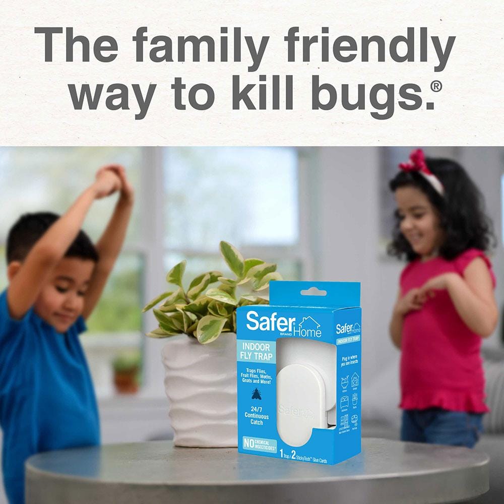 Safer Brand Safer Home Indoor Flying Insect Trap for Fruit Flies, Gnats ...
