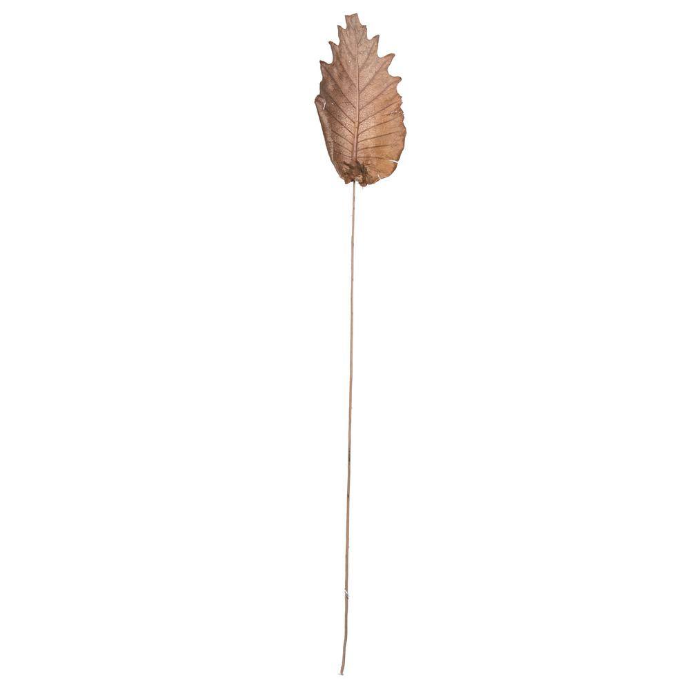 Vickerman 20 in. Brown Preserved Oak Leaf on Stem, 100-Pieces Per Pack ...