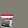 Custom Building Products Fusion Pro #09 Natural Gray 1 qt. Single ...