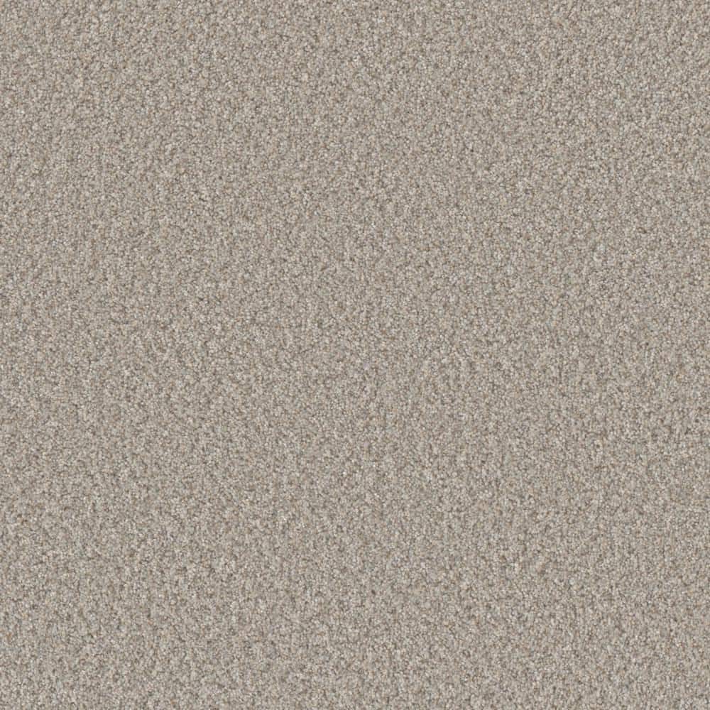Home Decorators Collection Gentle Glimmer II-Shine Gray-60 oz. SD ...