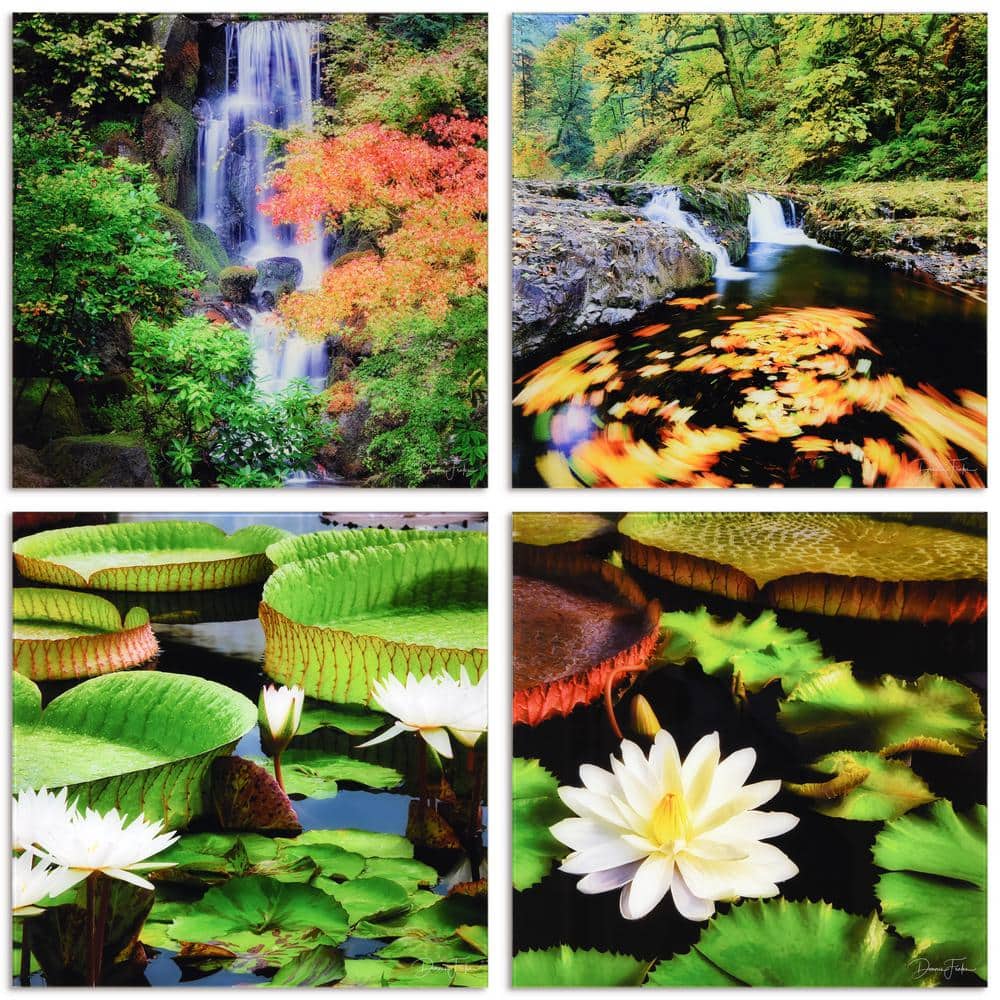 Tropical Rainforest Plants Collage