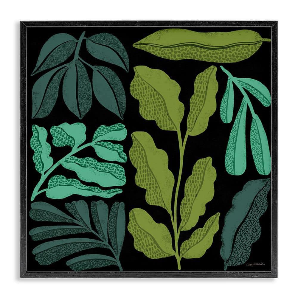Stupell Industries Plant Sprig Collage by Cheryl Warrick Black Framed ...