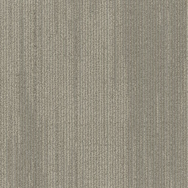 Mohawk 8 in. x 8 in. Textured Loop Carpet Sample - Elite -Color - Dove ...