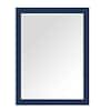 Home Decorators Collection Sturgess 27 in. W x 36 in. H Rectangular ...