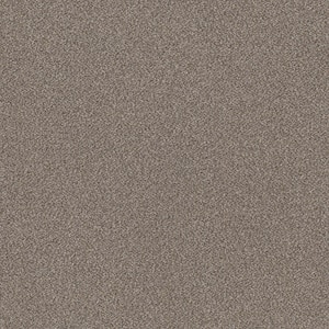 Home Decorators Collection 8 in x 8 in. Texture Carpet Sample ...
