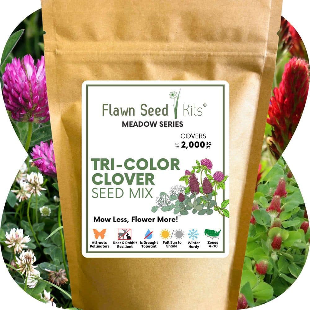 Flawn Seed Kits Tri-Color Lawn Flower Seed, Crimson, Medium Red and ...
