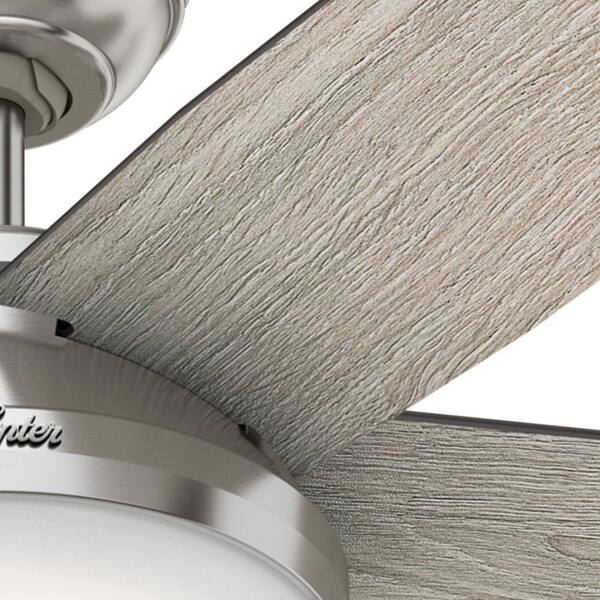 Hunter Avia Led Indoor Ceiling Fan Gray | Shelly Lighting