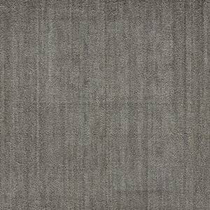 Natural Harmony 6 in. x 6 in. Texture Carpet Sample - Supreme - Color ...