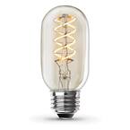 Feit Electric 40-Watt Equivalent T10 Dimmable Spiral Filament Large Clear Glass E26 Vintage ...