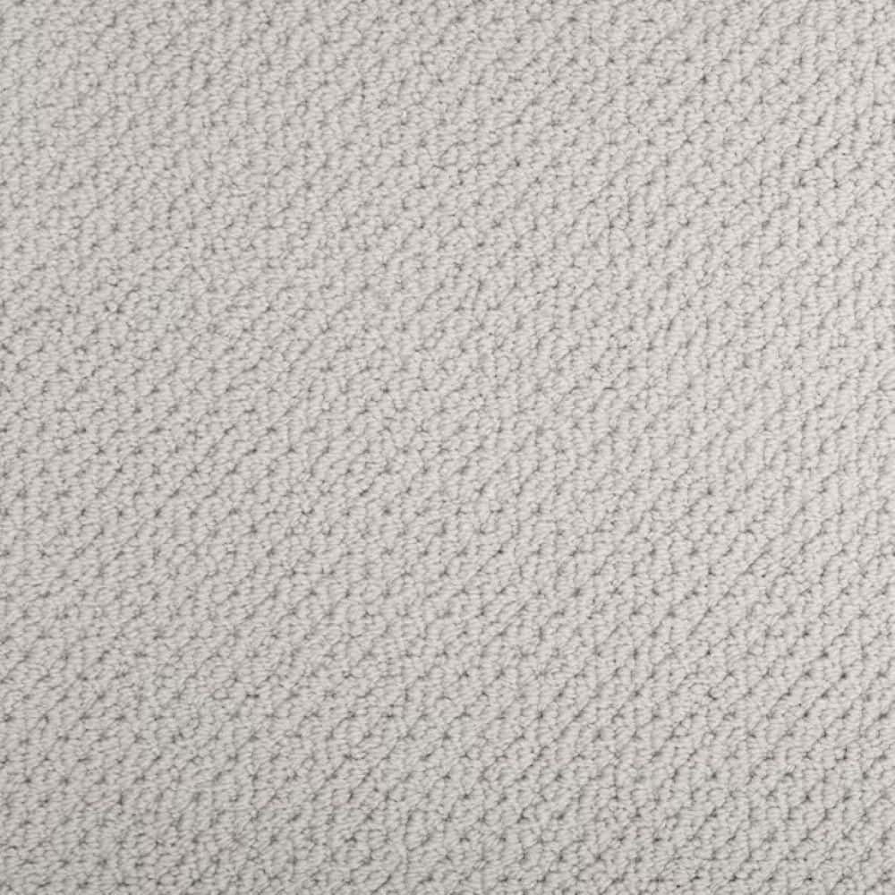 Lifeproof with Petproof Technology 8 in. x 8 in. Pattern Carpet Sample ...