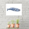 Jetty Home 8 in. x 10 in. "Painted Blue Whale" Printed Wall Art WP10008 ...