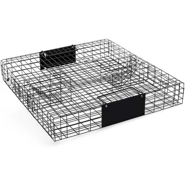 Squirrelinator Live Squirrel Metal 2-Door Cage Trap with Waste Pan SQR ...