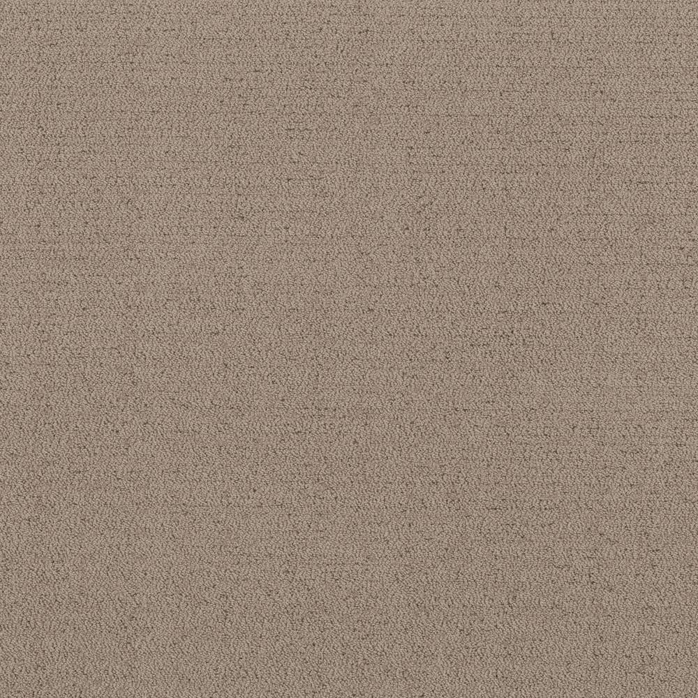 Lifeproof 8 in. x 8 in. Pattern Carpet Sample - Night Owl -Color Wenge ...