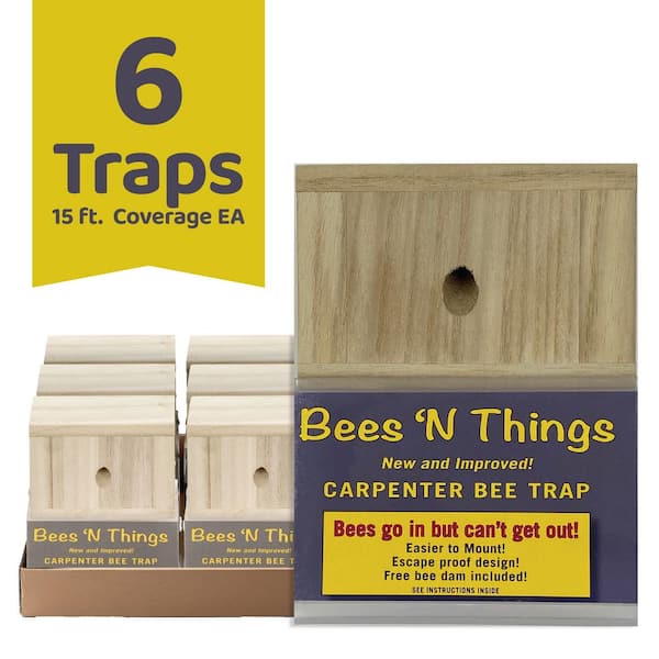 Bees N Things Outdoor Carpenter Bee Hanging Insect Trap with 15 ft ...
