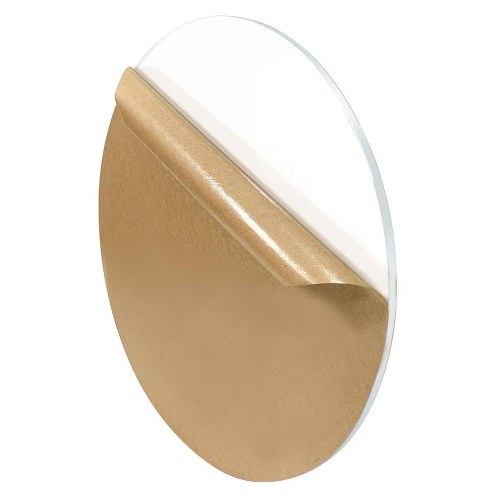 Pro Space 19 in. x 19 in. x 1/4 in. Circle Clear Acrylic Cut Plexiglass ...