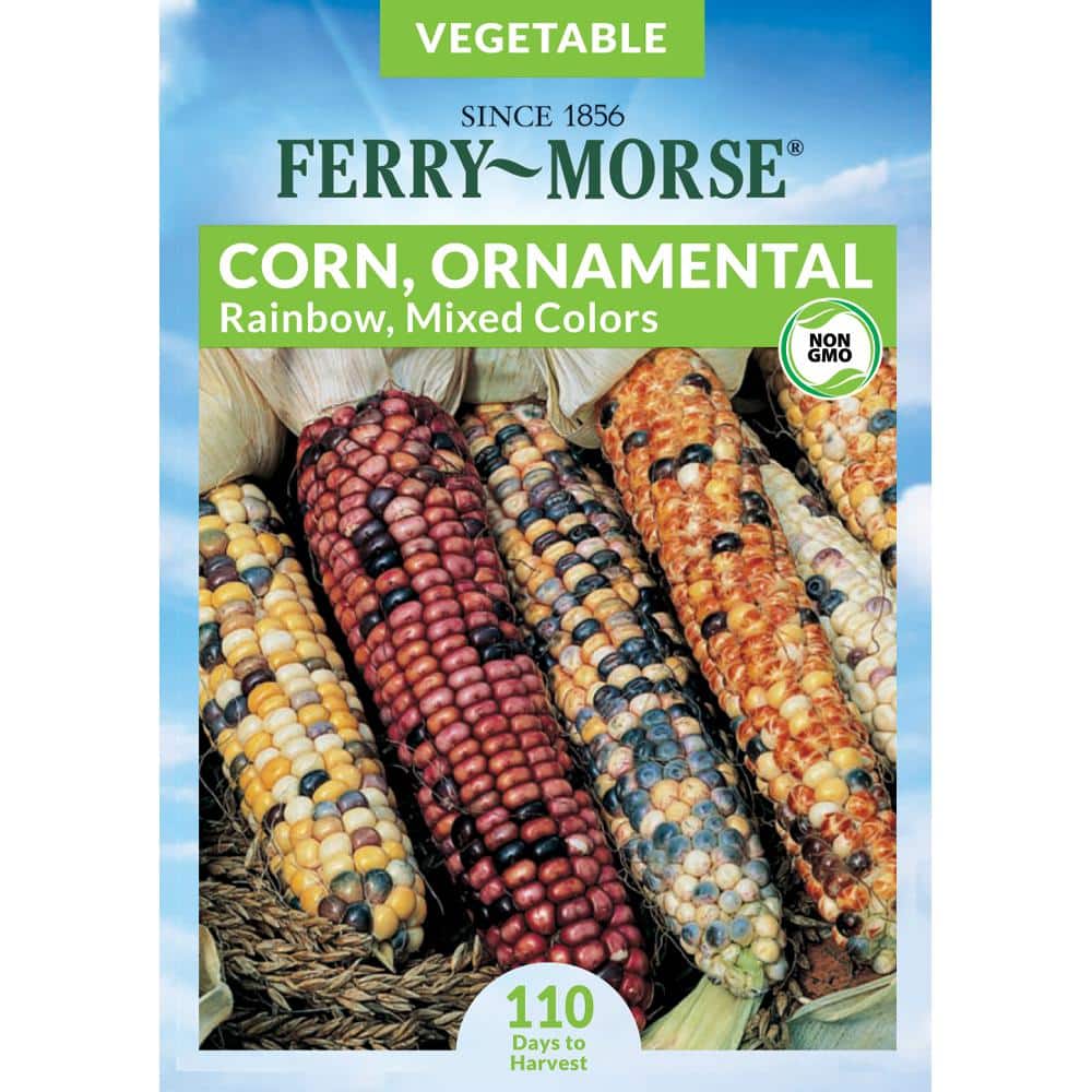 Ferry-Morse Sweet Corn Ornamental Rainbow Mix Vegetable Seeds 2060 ...
