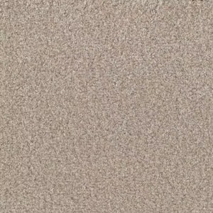 Lifeproof 8 in. x 8 in. Texture Carpet Sample-Manuscript I-Color ...