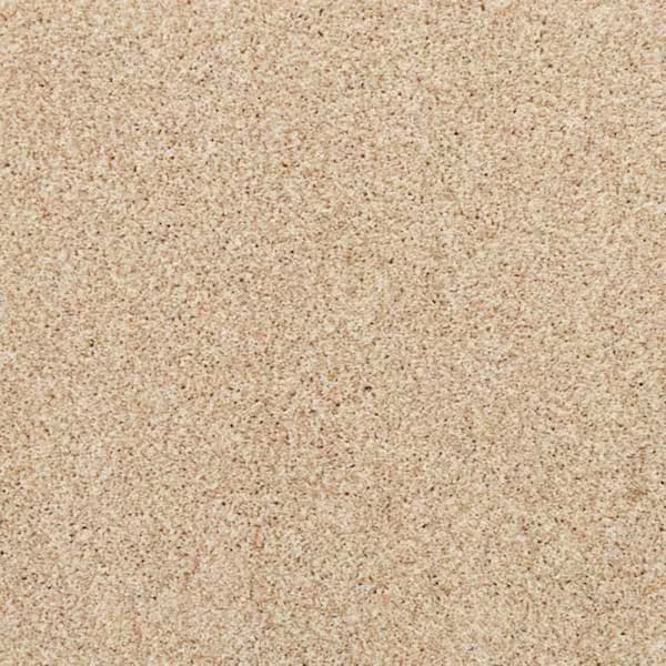 Mohawk 8 in. x 8 in. Texture Carpet Sample-Magalynn I-Color Sunset MO ...