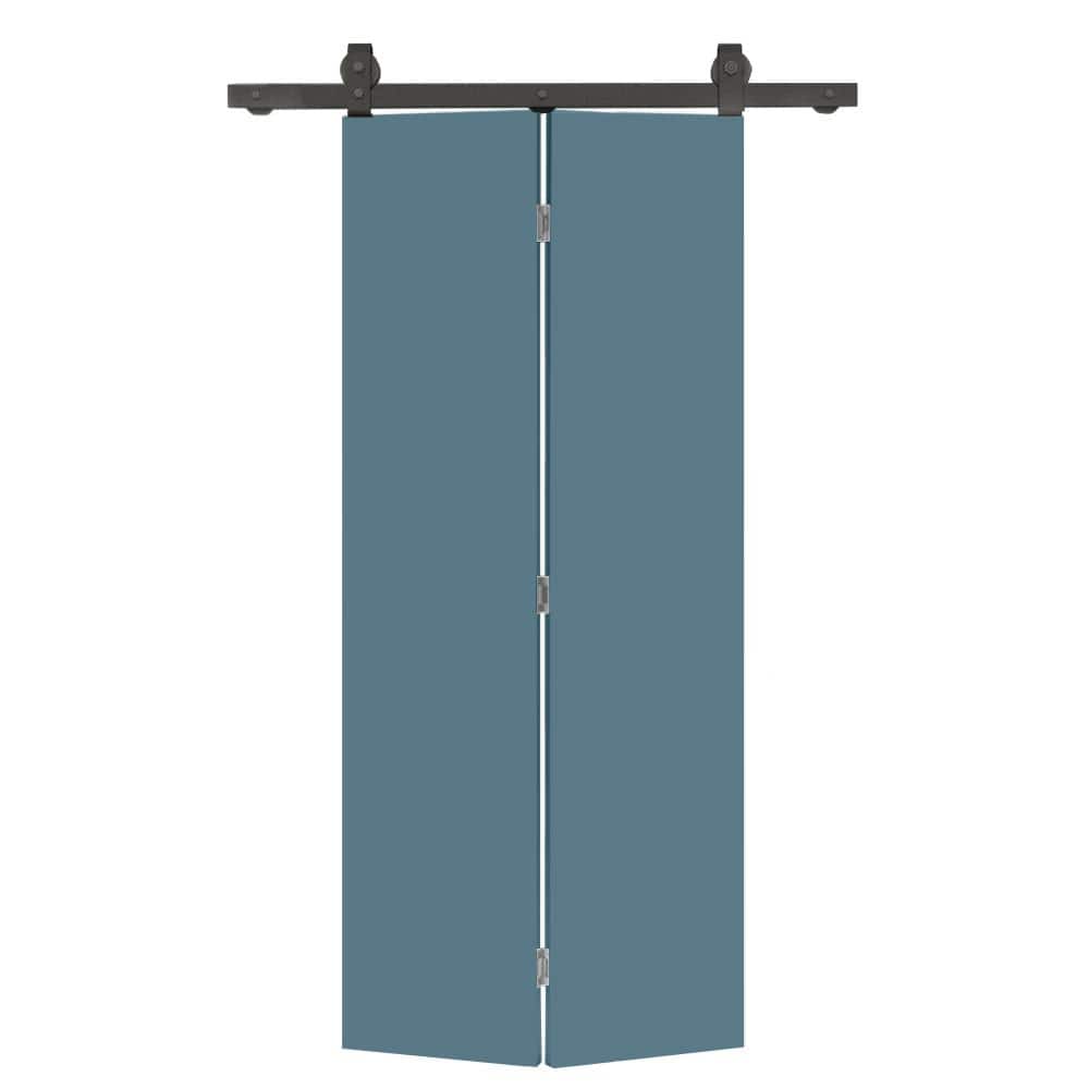 CALHOME 24 in. x 80 in. Dignity Blue Smooth Flush Hardboard Hollow Core ...