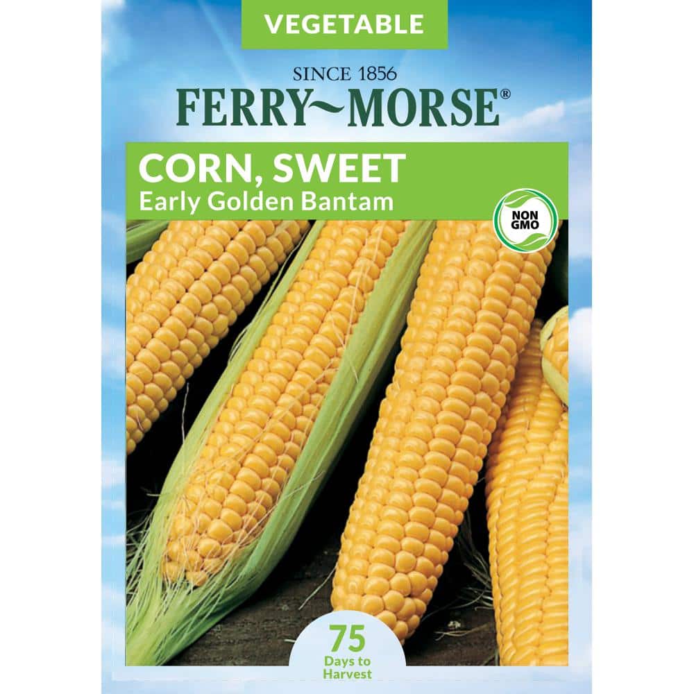 Ferry-Morse Sweet Corn Early Golden Bantam Fruit Seed 0507 - The Home Depot