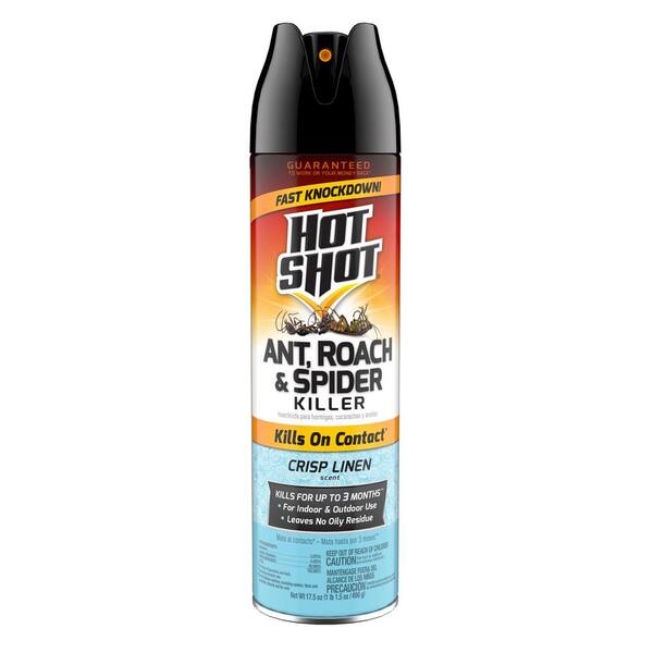 Hot Shot 17.5 oz. Ant, Roach and Spider Insect Killer Aerosol Spray ...