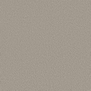 Lifeproof 8 in. x 8 in. Pattern Carpet Sample - Poppy -Color Stonewood ...