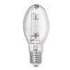Feit Electric 175-Watt ED28 Shape Clear Mercury Vapor High Intensity ...