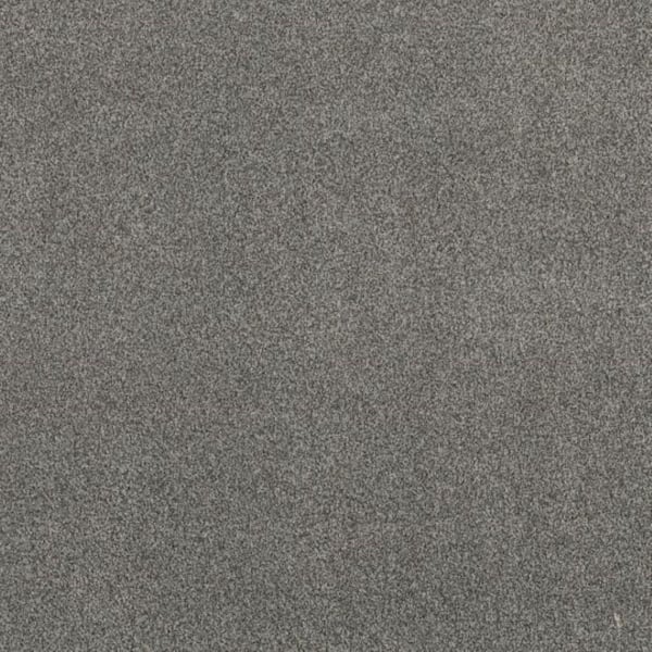 Lifeproof 8 in. x 8 in. Texture Carpet Sample - Urban Artifact II ...
