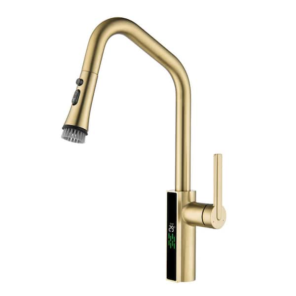 FLG Single Handle Temperature Display Pull Down Sprayer Kitchen Faucet ...