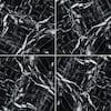 MSI Black Ice 12 in. x 12 in. Polished Marble Floor and Wall Tile (5 sq ...